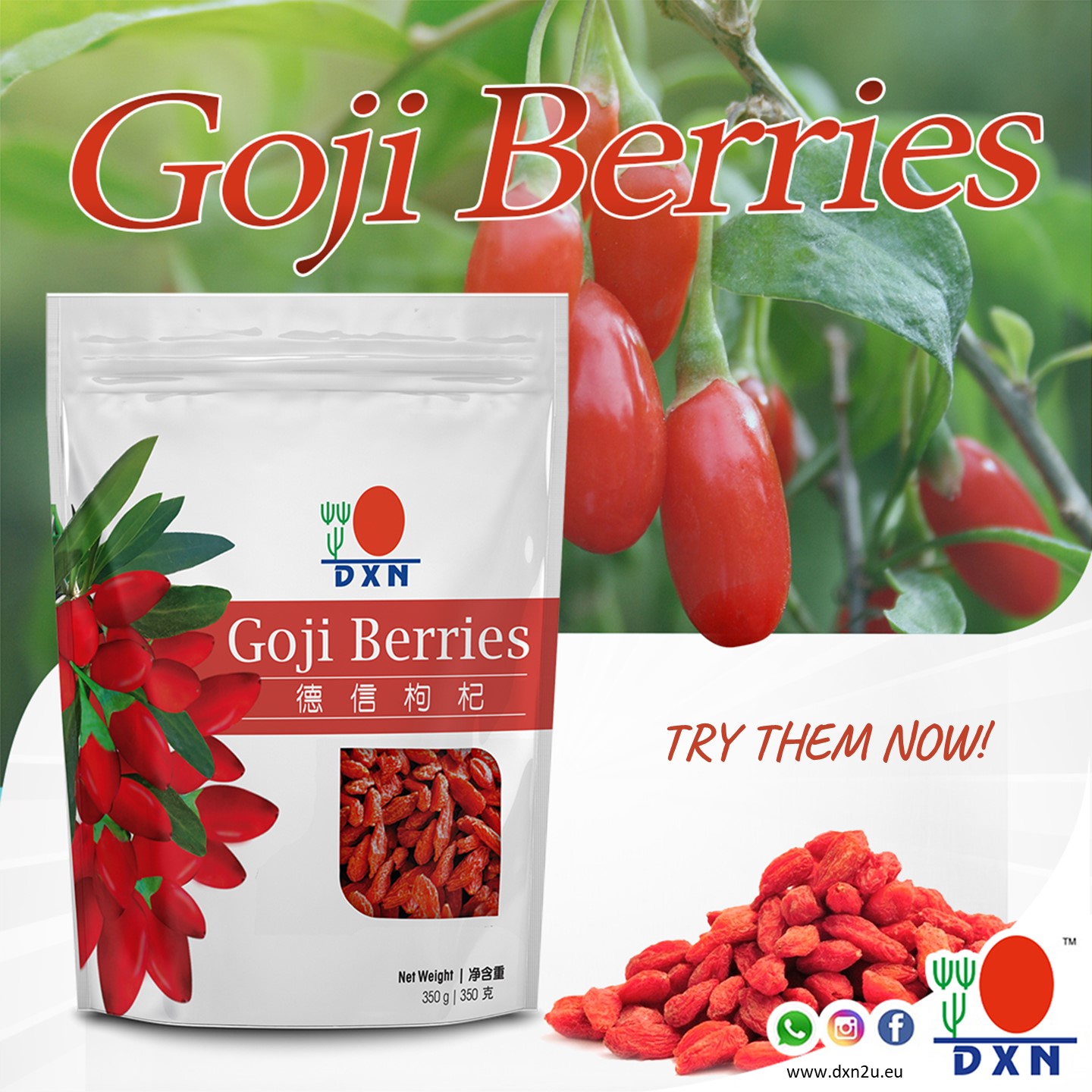 DXN Europe Official Site